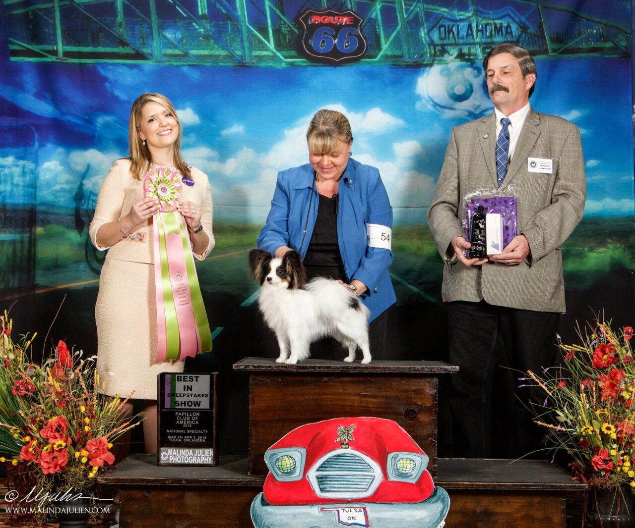 About - Denzel Papillons