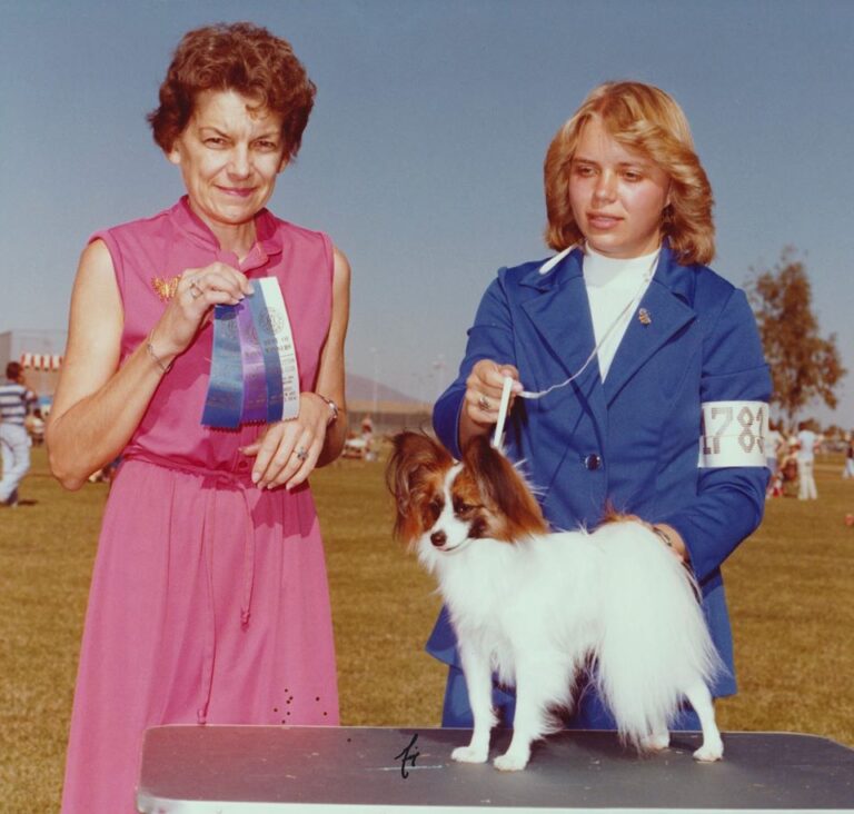 About - Denzel Papillons