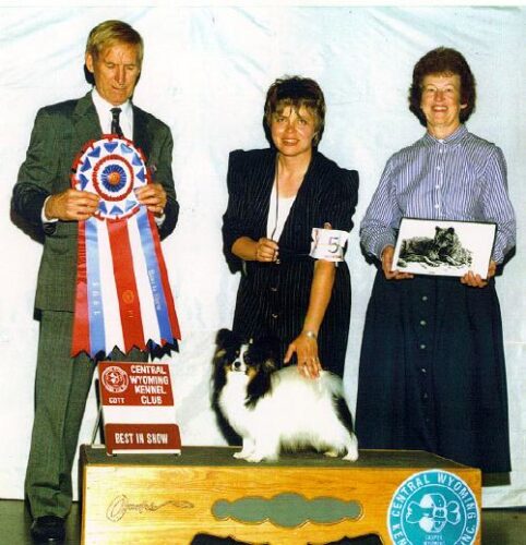 About - Denzel Papillons